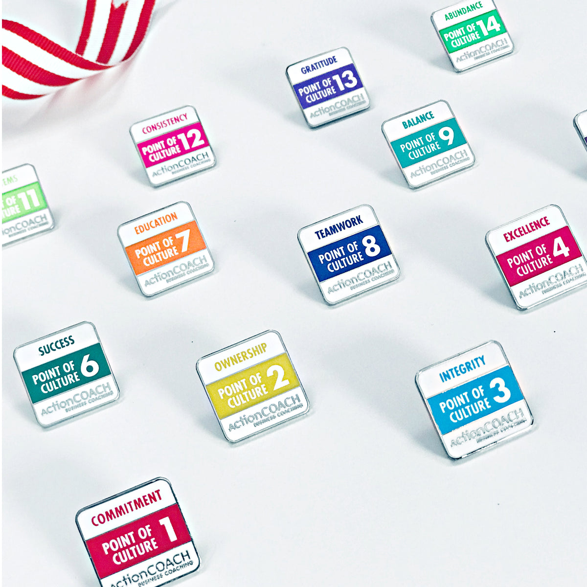Set of 14 Points of Culture Pins – actioncoach-global